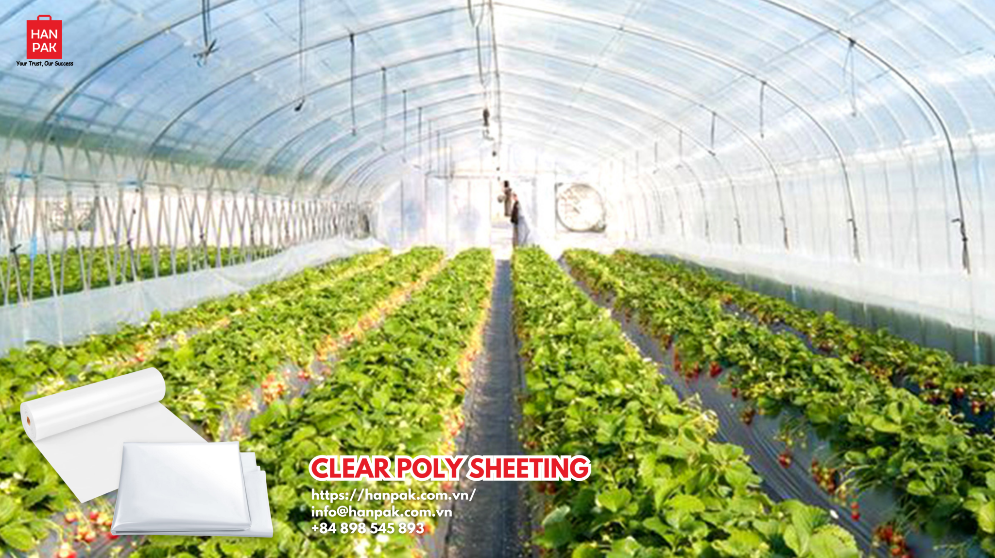 Using Clear or Black Poly Sheeting: When To Use Each?