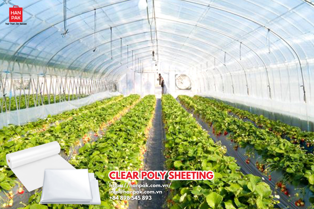 Plastic Sheeting – Top 1 Smart Crop Protection