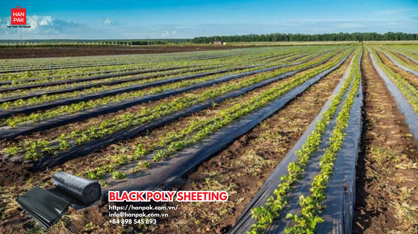 Plastic Sheeting – Top 1 Smart Crop Protection