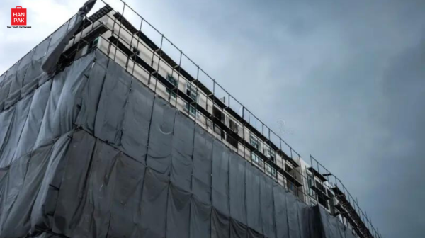 Using Clear or Black Poly Sheeting: When To Use Each?